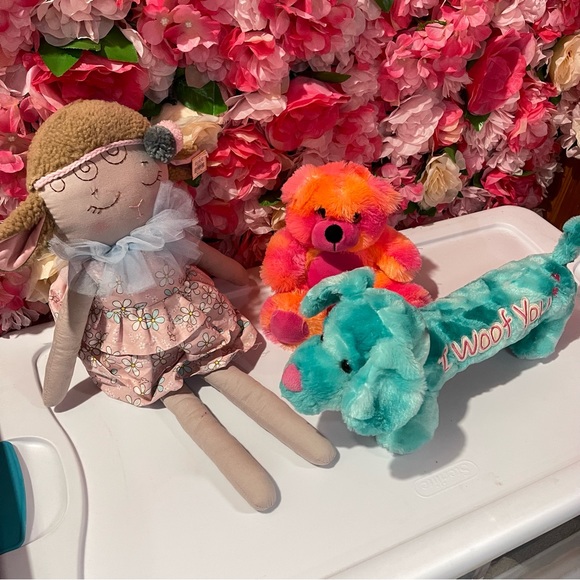 Toys | 3 Toys Doll Sheep Dog And Bear Pink Green Menthol Plush Soft ...